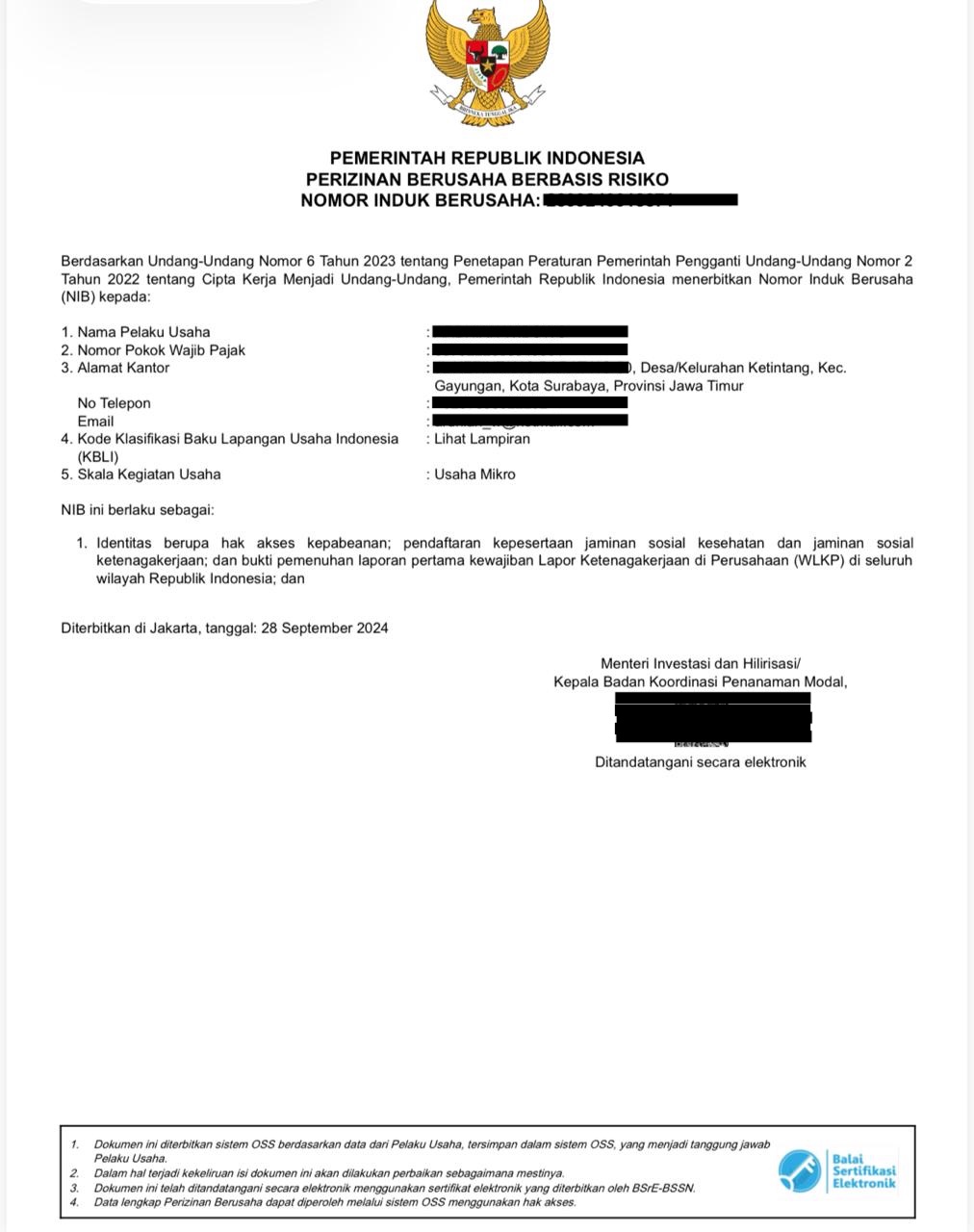 Contoh NIB Klinik Pratama OSS RBA Terbaru - Jasa pembuatan PT | Jasa ...